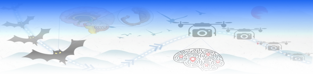 Fangwen Yu (余芳文) – Creating Brain Inspired Robots that Navigate